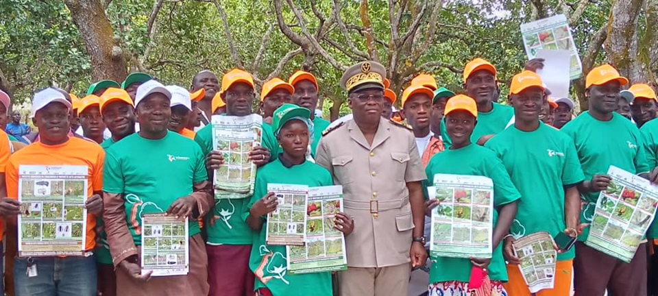 Côte d’Ivoire – AIP/ Des producteurs d’anacarde formés à l’amélioration de la qualité. - AIP ...