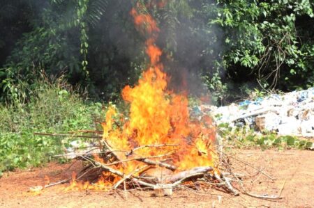 Côte d’ivoire-AIP/ Une activité de braconnage du Corridor écologique de ...
