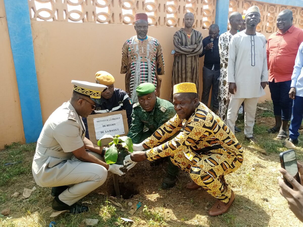 Côte d’Ivoire-AIP/ La direction départementale des Eaux et Forêts ...