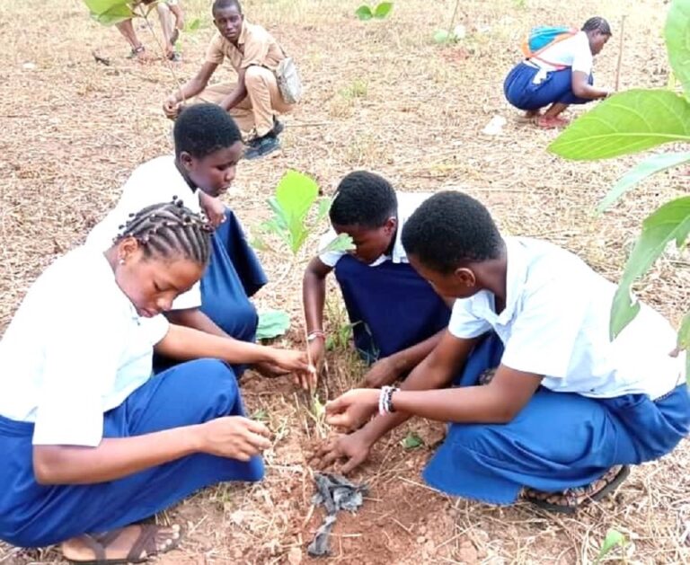 Côte d’Ivoire-AIP/ Zagné: le poste des Eaux et Forêts célèbre la paix ...