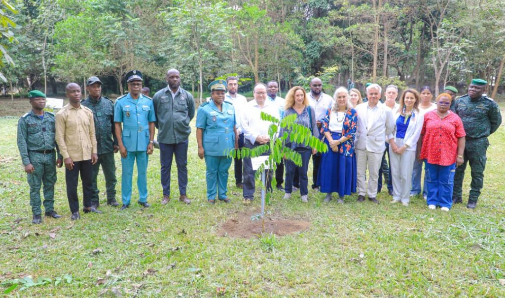 Côte d’Ivoire-AIP/ Un planting d’arbres à Bingerville pour le lancement ...