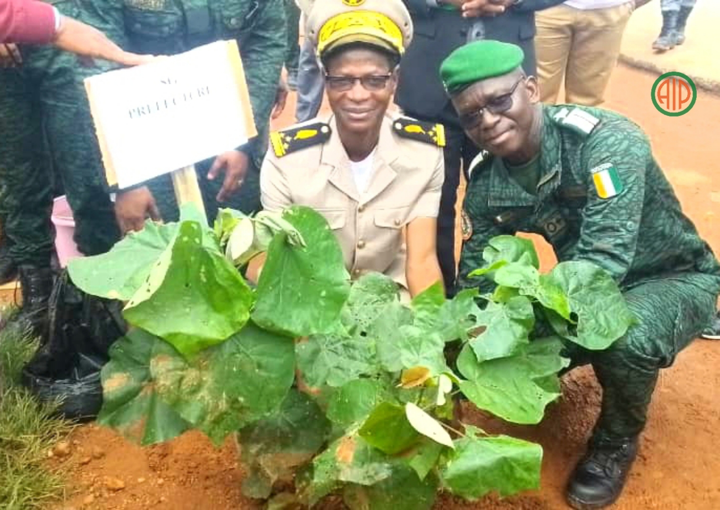 Côte d’Ivoire-AIP/ 4687 arbres plantés à Bongouanou lors de la Journée ...