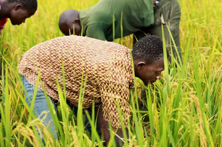 AIP/ Le Fonds africain de développement octroie un prêt de plus de 18 ...