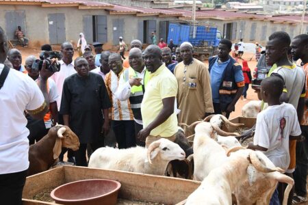 Côte d’Ivoire-AIP/ Des marchés annexes provisoires de bétail ouverts ...