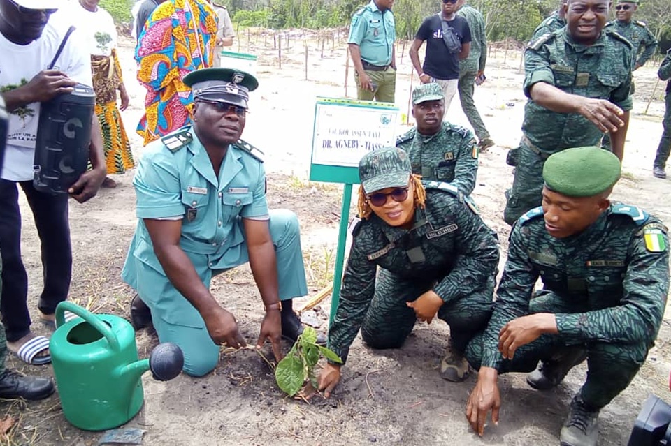 Côte d’Ivoire-AIP/ Les populations de Taabo s’engagent à planter des arbres - AIP - Agence ...