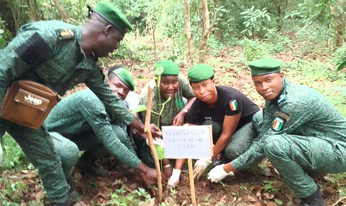 Côte d’Ivoire-AIP / La direction départementale des Eaux et Forêts de ...