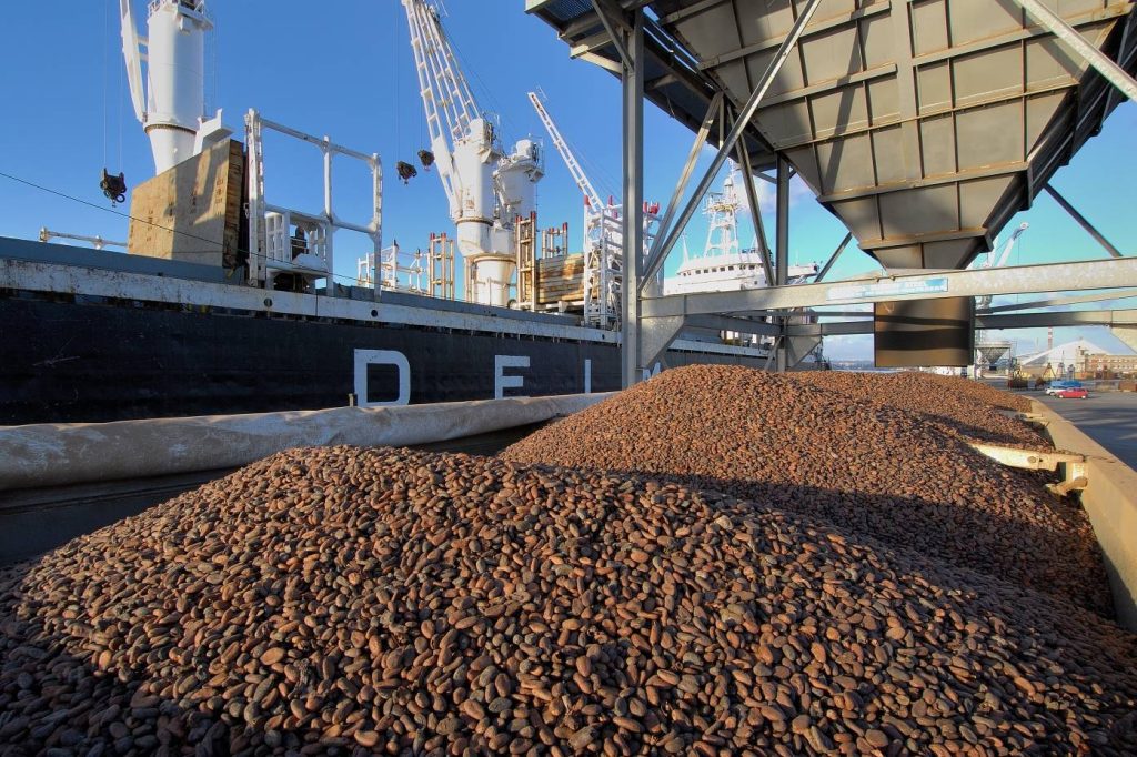 Côte d’Ivoire-AIP/Campagne cacao 2025-2026 : 70 % de la production déjà ...