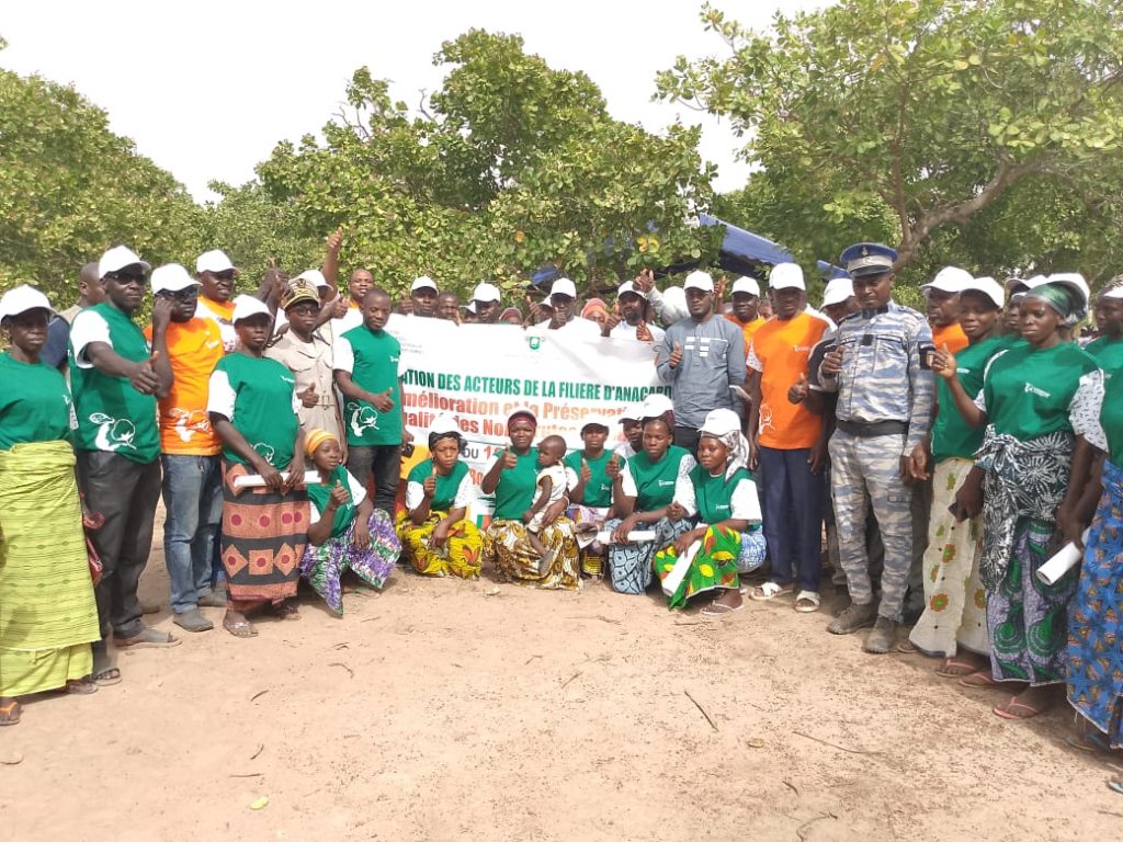 Côte d’Ivoire-AIP/ Des acteurs de l’anacarde de Doropo sensibilisés à ...